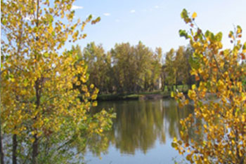 Habitat and Wildlife - Poudre River Trail Corridor